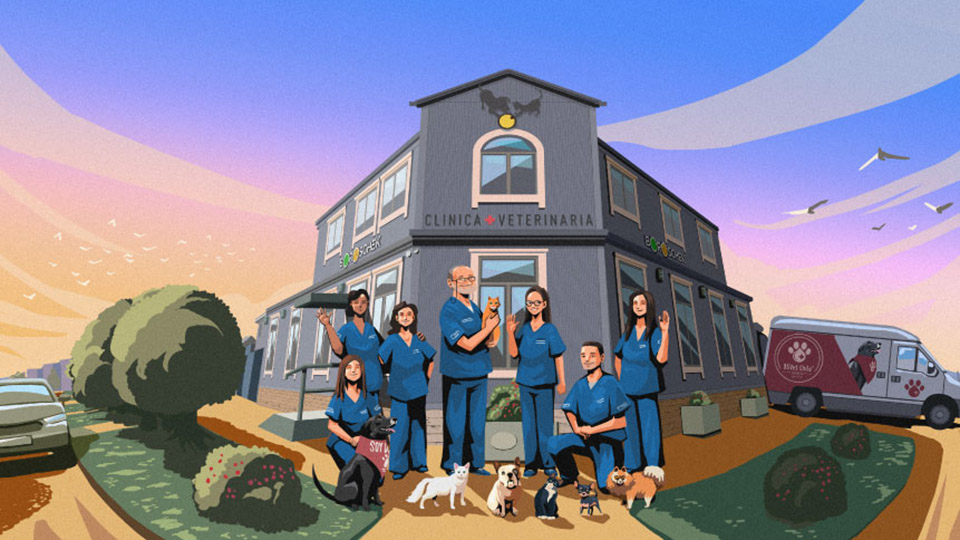 Boroschek Veterinary - Draff.tv | Animation & Motion Design
