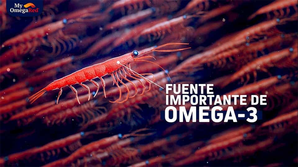 Nutrapharm My OmegaRed - Draff.tv | Animación y Motion Graphics